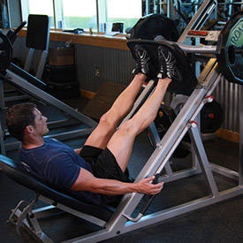TheGymFinder.com - Bodybuilding Workout - Legs
